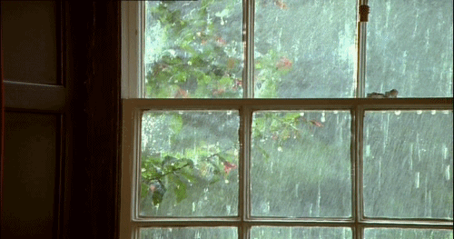 Download Water Drop Water Photography Rain Gif