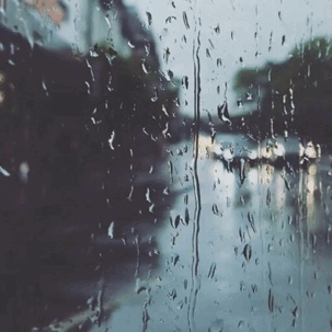 Download Photography Rain Gif