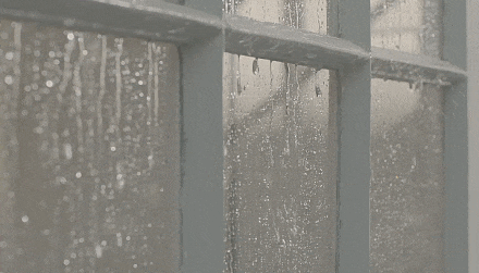 Rain Gif - Gif Abyss