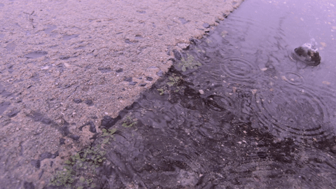 Download Photography Rain Gif