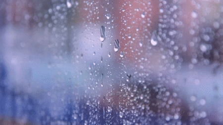Rain Gif - Gif Abyss