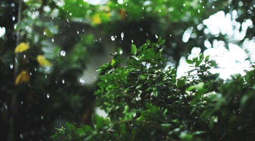 Download Photography Rain Gif