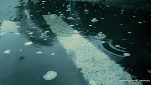 Download Photography Rain Gif