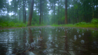 Download Photography Rain Gif
