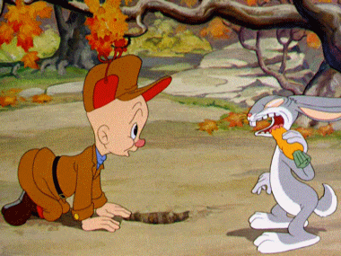 Download Comedy TV Show Looney Tunes Gif