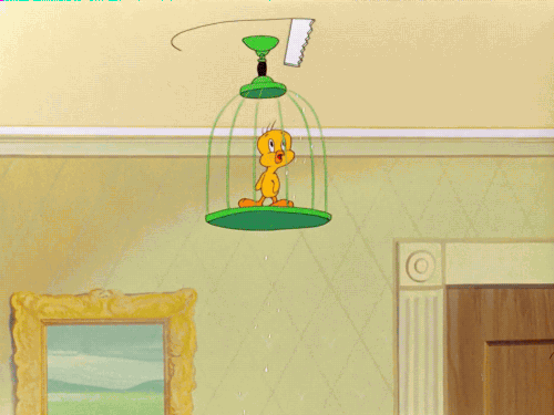 Download Comedy TV Show Looney Tunes Gif