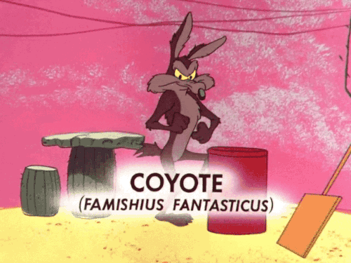 Download Comedy TV Show Looney Tunes Gif