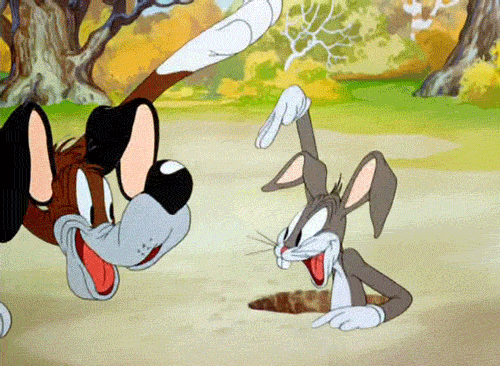 Download Comedy TV Show Looney Tunes Gif