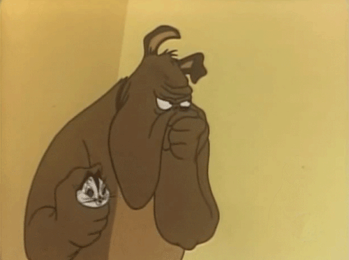 Looney Tunes Gif - Gif Abyss