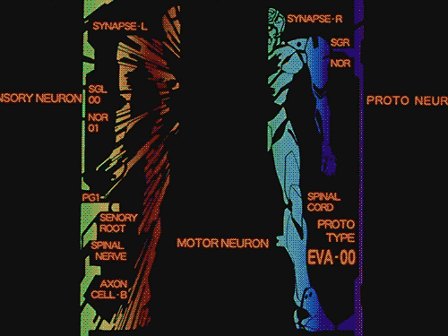 Download Anime Neon Genesis Evangelion Gif - Gif Abyss