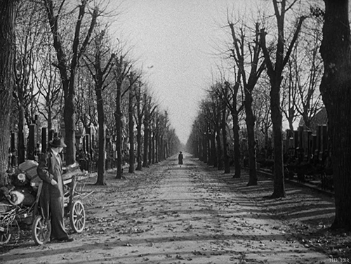 Download Movie The Third Man Gif - Gif Abyss
