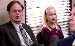 Download Comedy The Office (US) TV Show Gif