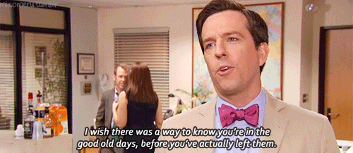 Download Comedy The Office (US) TV Show Gif