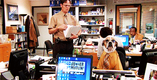 Download Comedy The Office (US) TV Show Gif