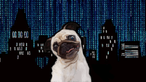 Download Computer Technology Hacker Gif