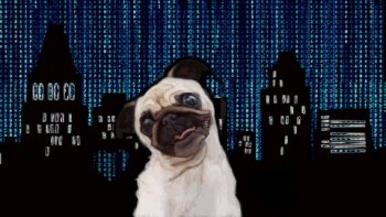 Download Computer Technology Hacker Gif