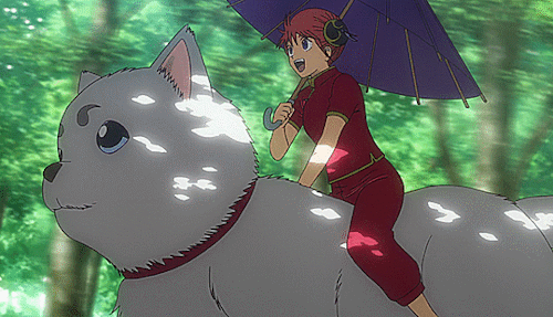 Download Anime Gintama Gif