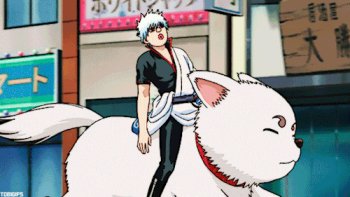 Download Anime Gintama Gif