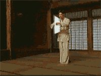 Kung Fu Gifs