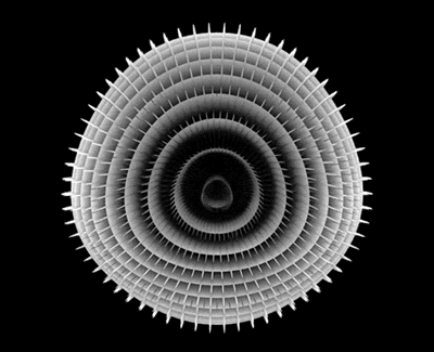 Download Abstract Artistic Gif - Gif Abyss