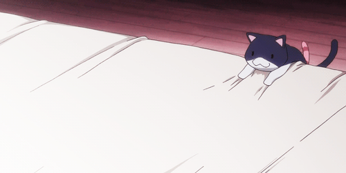 Sup Cat Gif Cat Icon Gif #273316 Free Icons Library