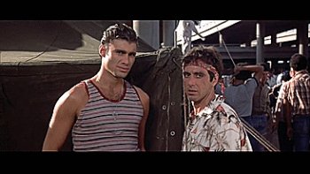 Download Movie Scarface Gif
