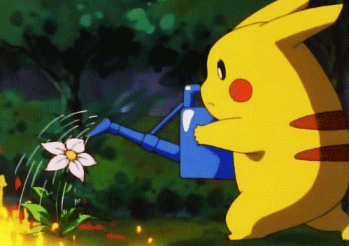 Pokémon Gif - Gif Abyss