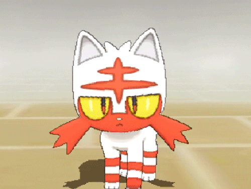 Pokémon Gif - Gif Abyss