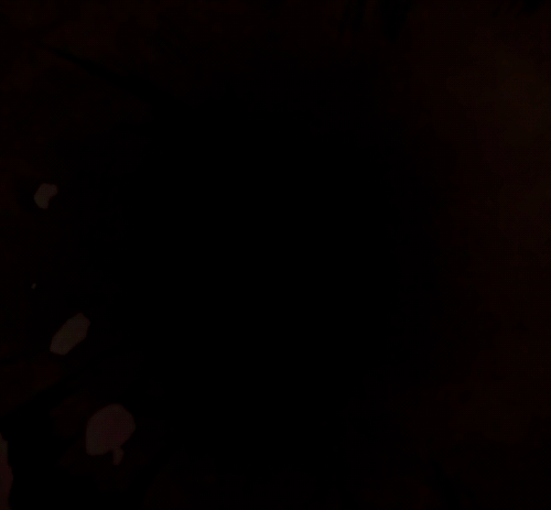 The element of surprise ! - Gif Abyss