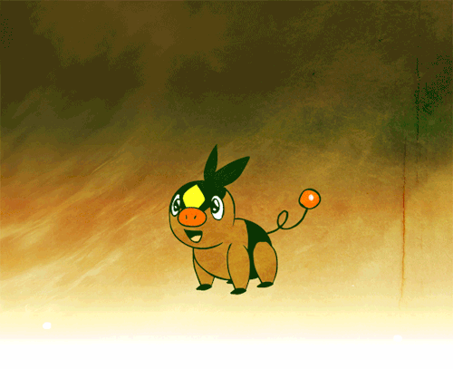 Tepig Gif