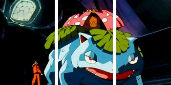 Download Venusaur (Pokémon) Anime Pokemon Bulbasaur (Pokémon) Cartoon Gif