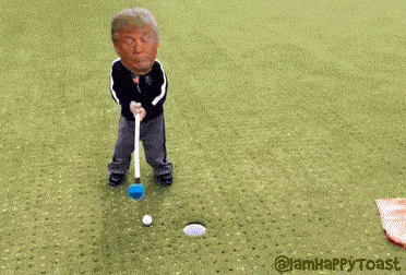 Funny Gif - Gif Abyss