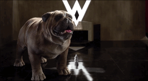 Download TV Show The Defenders Gif