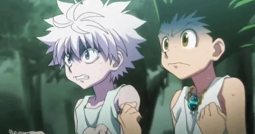 Download Anime Hunter X Hunter Gif