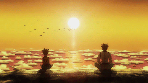 Download Anime Hunter X Hunter Gif