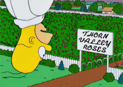 Download TV Show The Simpsons Gif