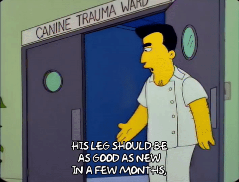 Download TV Show The Simpsons Gif