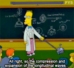 Download TV Show The Simpsons Gif