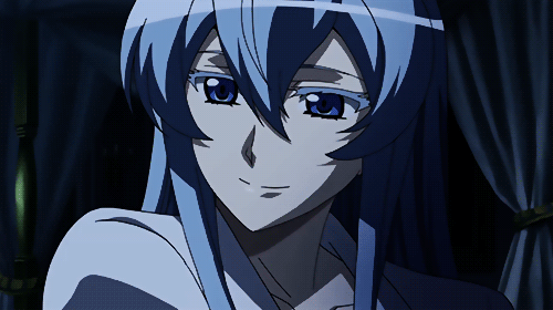 Download Anime Akame Ga Kill! Gif