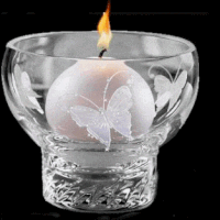 Download Flame Fire Artistic Candle Gif