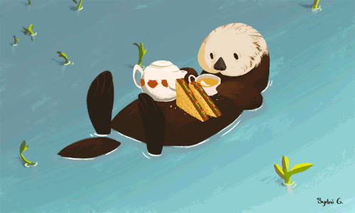 Download Animal Otter Gif