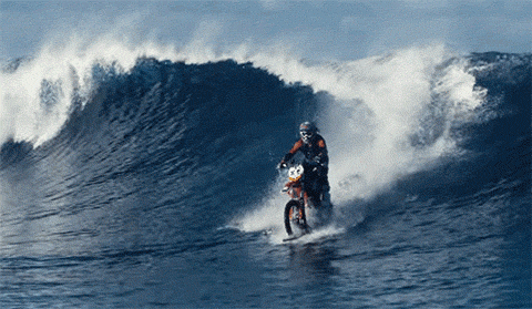 Download Wave Ocean Surfing Sports Gif - Gif Abyss