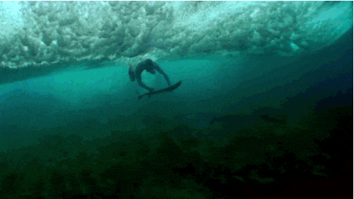 Surfing Gif - Gif Abyss