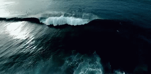 Download Wave Ocean Surfing Sports Gif