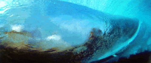 Download Wave Ocean Surfing Sports Ocean Waves Gif