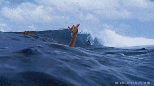 Download Wave Ocean Surfing Sports Gif - Gif Abyss