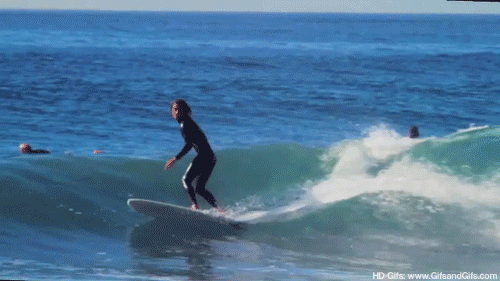 Surfing Gif - Gif Abyss