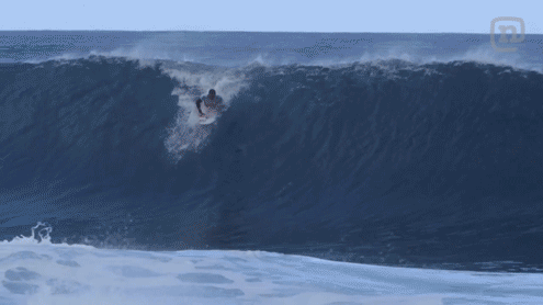 Download Wave Ocean Surfing Sports Gif - Gif Abyss