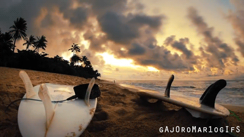 Download Wave Ocean Surfing Sports Ocean Waves Gif