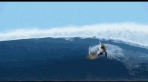 Download Wave Ocean Surfing Sports Ocean Waves Gif